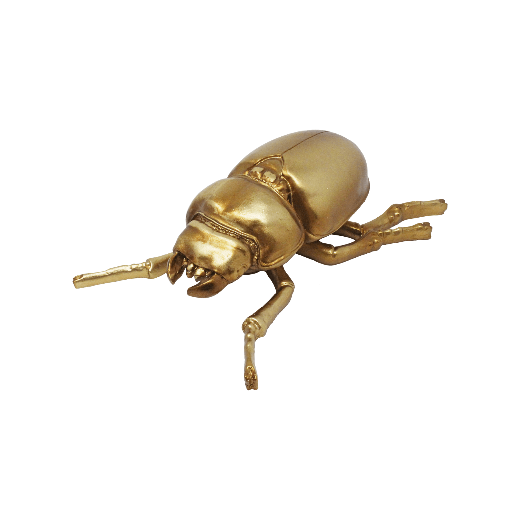 Beetle Decor – LAURA CANTU JEWELRY